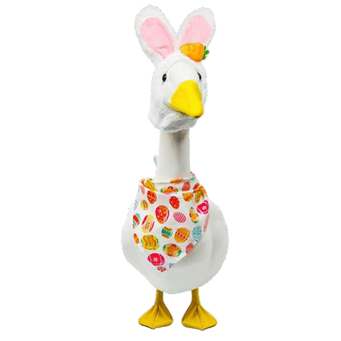 Porch Goose Outfits & Attire for all Seasons | Hilarious Attire for ...