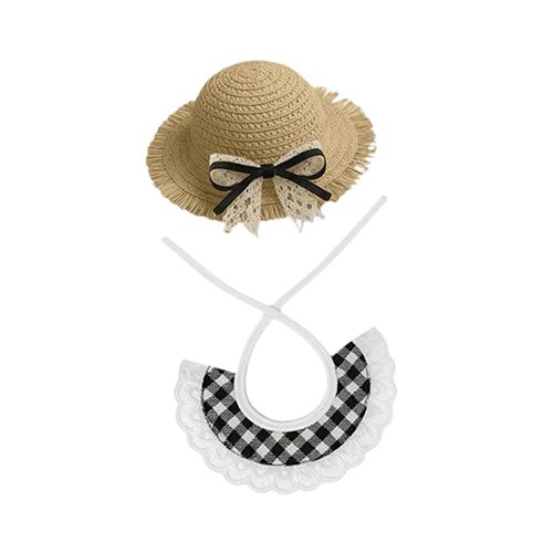 Porch Goose Outfits & Attire for all Seasons | Hilarious Attire for ...
